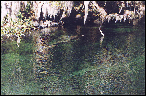 Blue Springs State Park - Virtual Tour